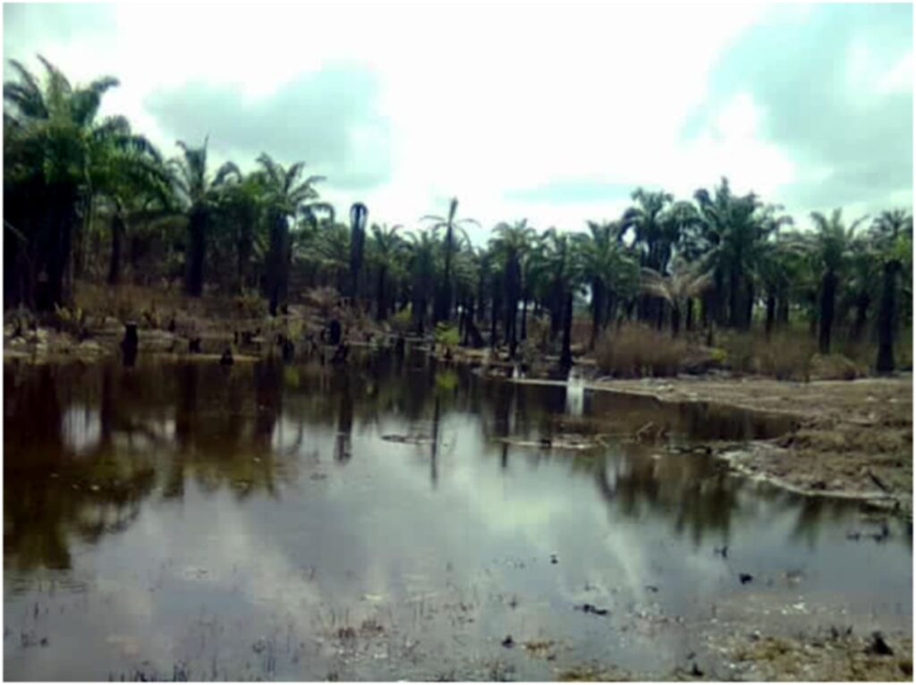 Nigerian Waterways At the Mercy of Pollution - National Point Newspapers